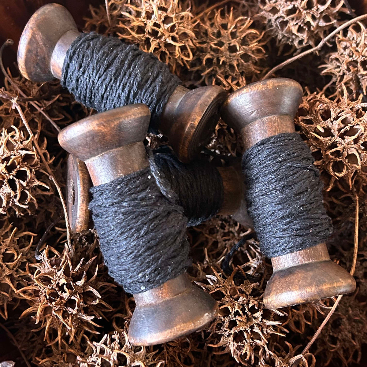 Binding Bobbin and Cord – Amongst Sisters